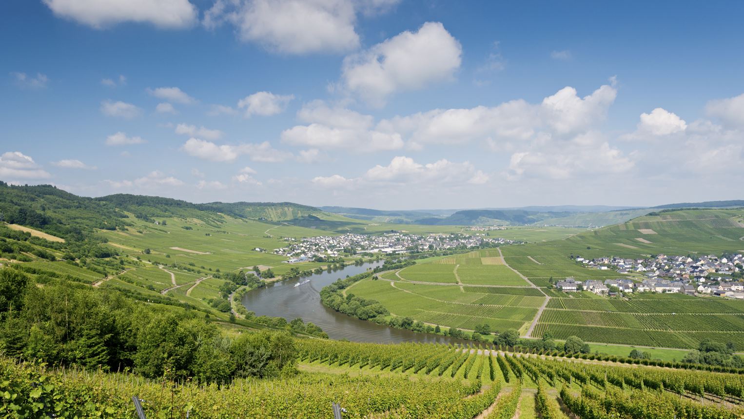 Holiday park Landal Sonnenberg | Landal GreenParks