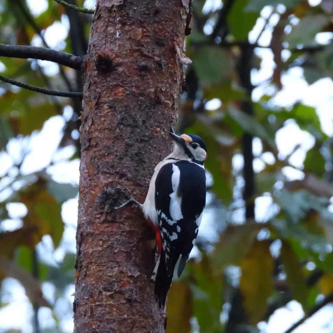 Holiday park Landal Rabbit Hill | Landal GreenParks