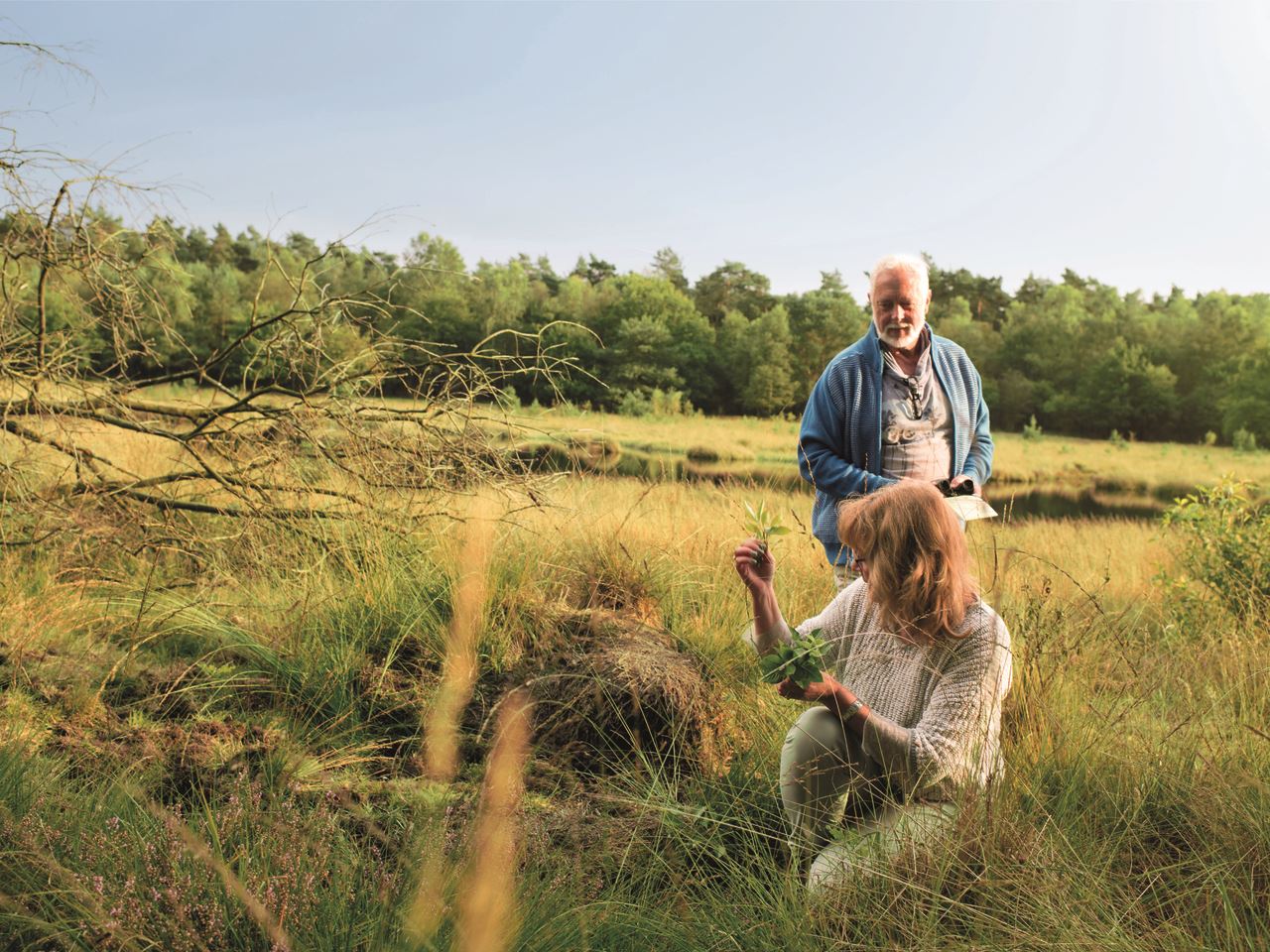 Holiday park Landal Rockingham Forest | Landal GreenParks