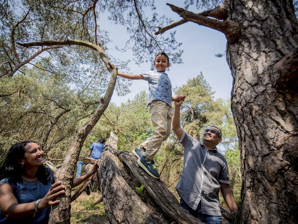 Holiday park Landal Rabbit Hill | Landal GreenParks