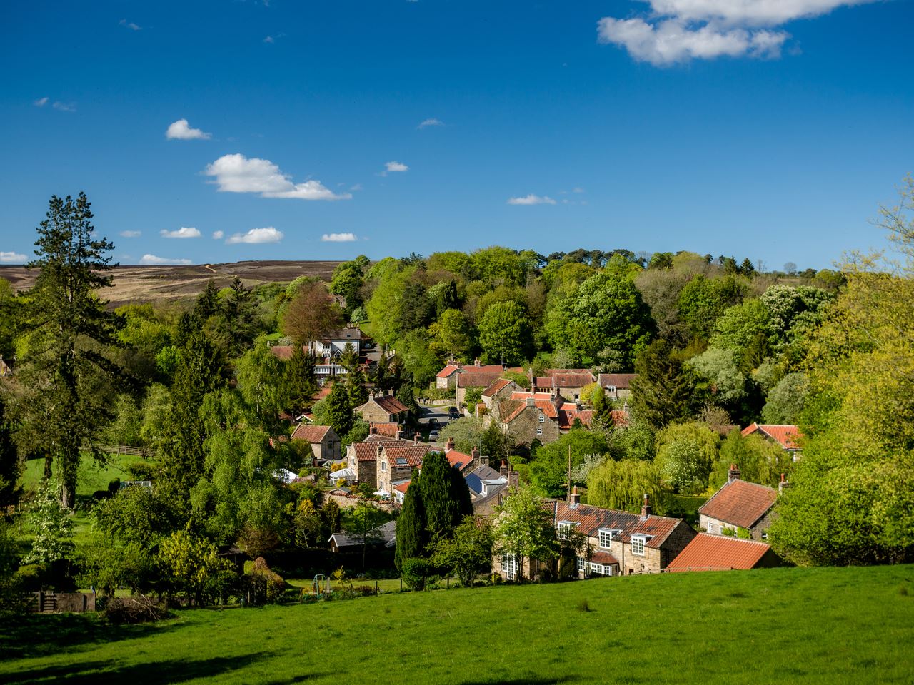 Holiday park Landal Woodland Lakes | Landal GreenParks