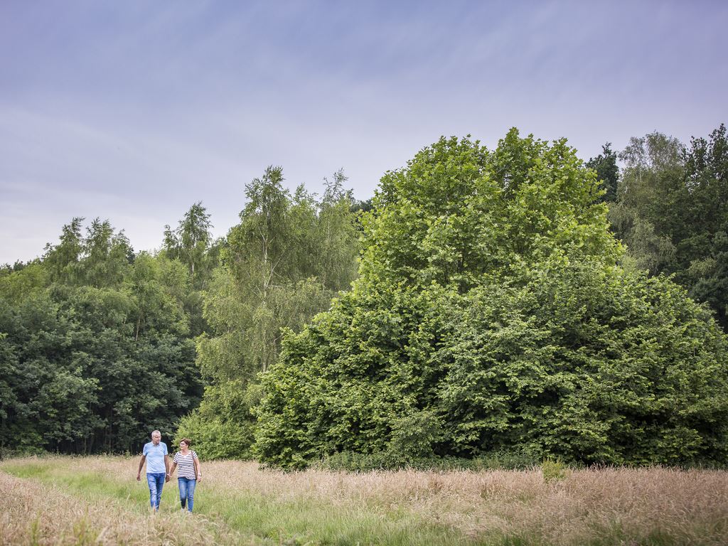 Holiday park Landal PUUR Exloo| Landal GreenParks